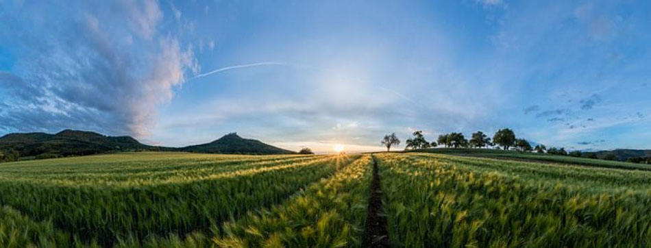 Los verdaderos terratenientes de Colombia – Archivo Caliescribe