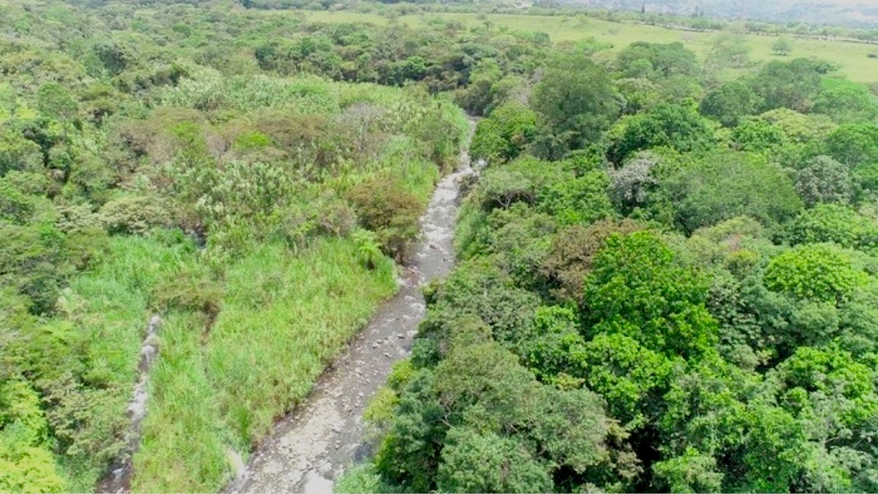 Proyecto futuro Parque Ambiental Corazón de Pance – Archivo Caliescribe
